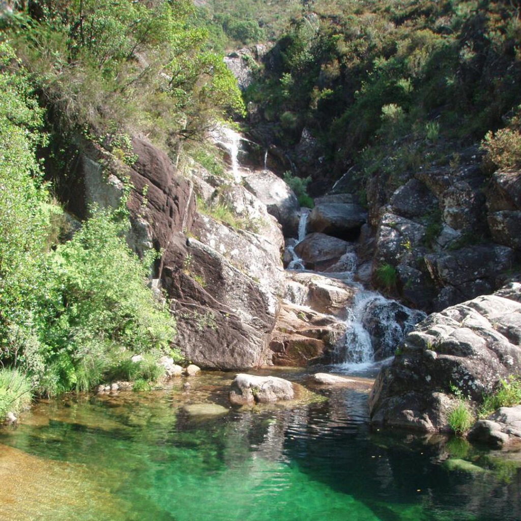 A Cova da Serpe - Casa da Galbana